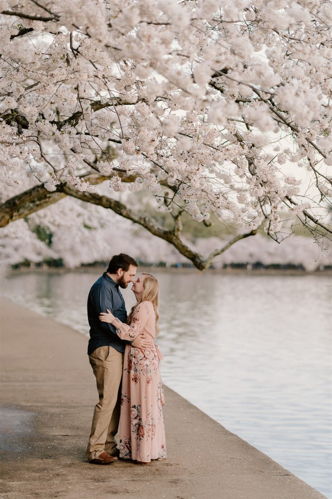 DC Cherry Blossom Engagement Session - Evergreen Photo