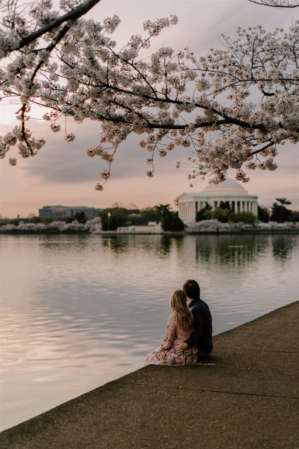 DC Cherry Blossom Engagement Session - Evergreen Photo